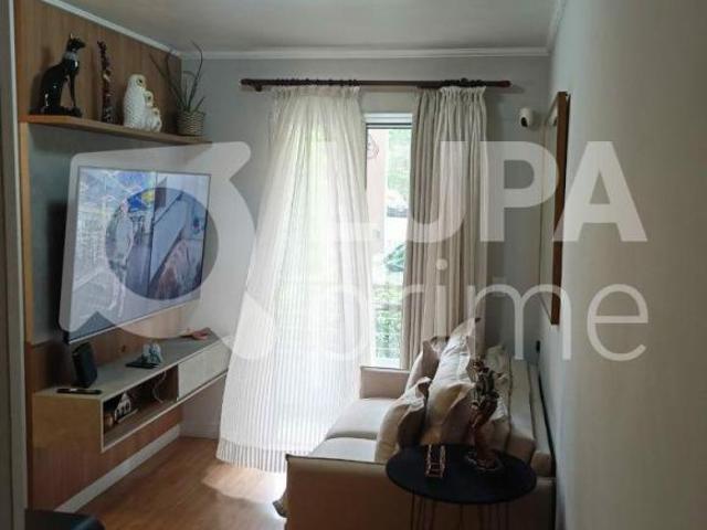 Apartamento, Vila Amélia São Paulo