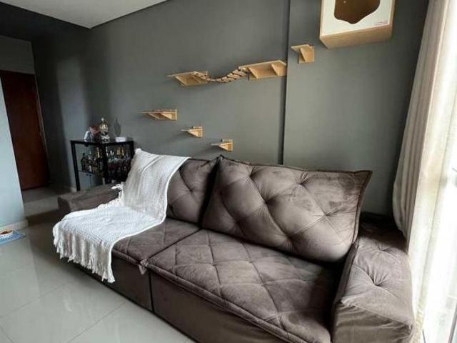 Apartamento, Vila Boa Esperança, Rio Preto