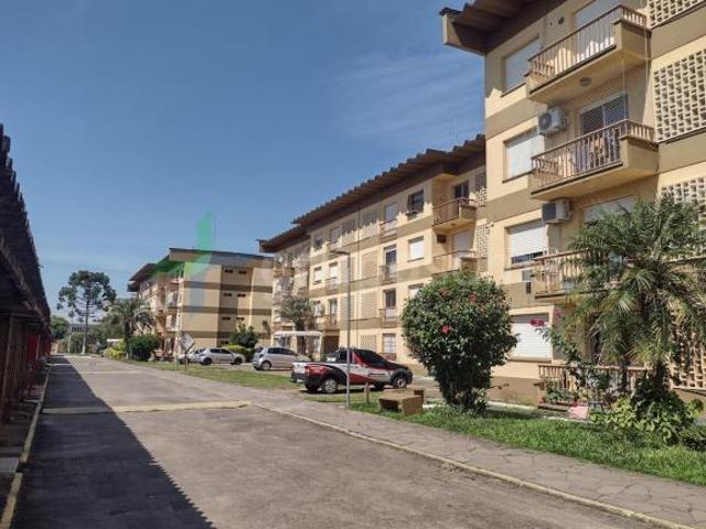 Apartamento, Vila Cachoeirinha, Cachoeirinha, RS