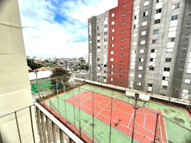 Apartamento vila campestre