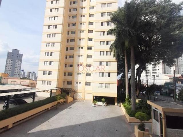 Apartamento, Vila Gomes Cardim, São Paulo, SP