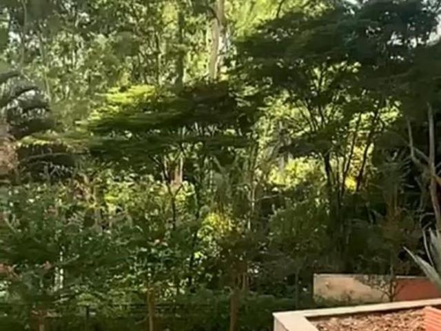 Apartamento, Vila Suzana, São Paulo, SP