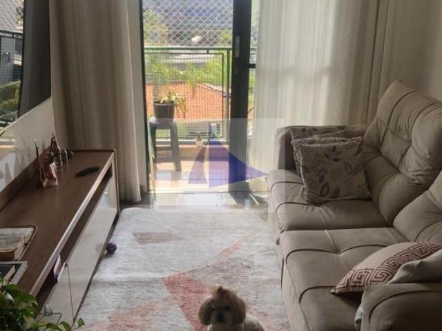 Apartamento, Vila São Bento, Campinas, SP