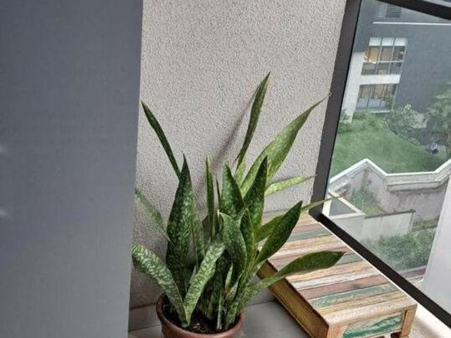 Apartamento à venda na Vila Mariana, São Paulo SP: 1 quarto, 1 banheiro, 25,00m² de área!