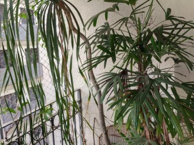 Apartamento a venda na Vila Nova Conceição São Paulo/SP