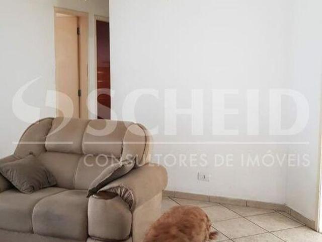 Apartamento à venda no Mirante de Interlagos