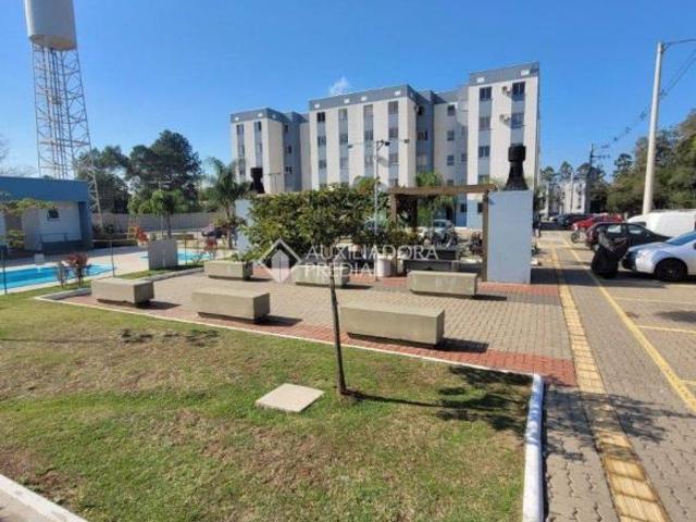 apartamento a venda no bairro feitoria