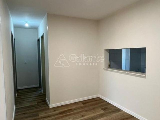 Apartamento à venda no Jardim Capivari em Campinas