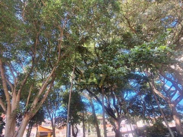 Apartamento a Venda no jardim Esmeralda