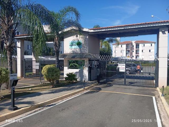 Apartamento à venda no Jardim Ipaussurama em Campinas