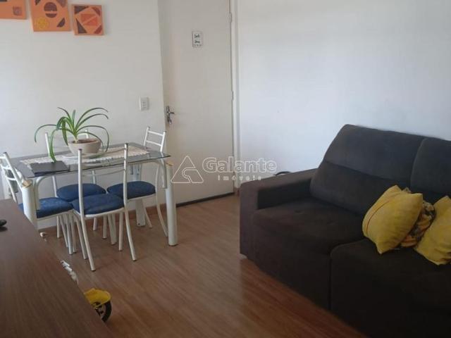 Apartamento à venda no Jardim Ipaussurama em Campinas