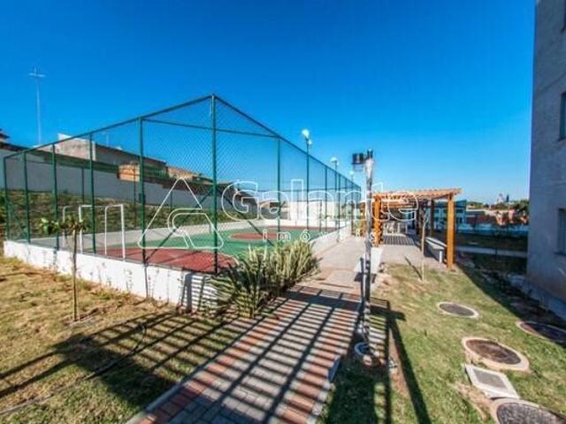 Apartamento à venda no Vila Mimosa em Campinas