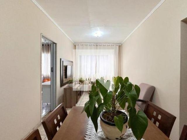 Apartamento à Venda Nova Petrópolis, 2 Quartos, 55 m2
