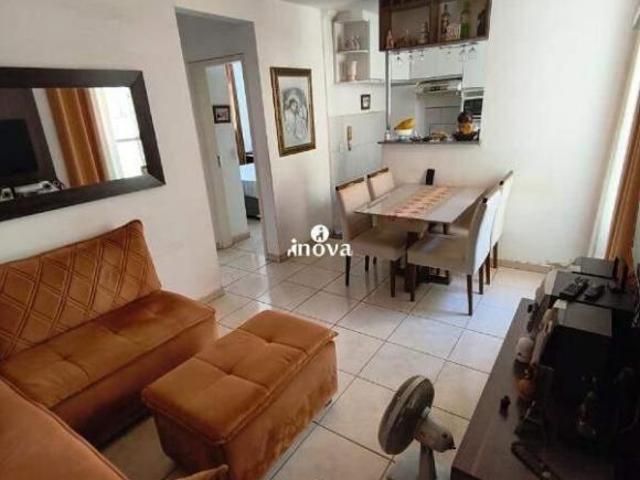Apartamento à venda, bairro Cidade Jardim