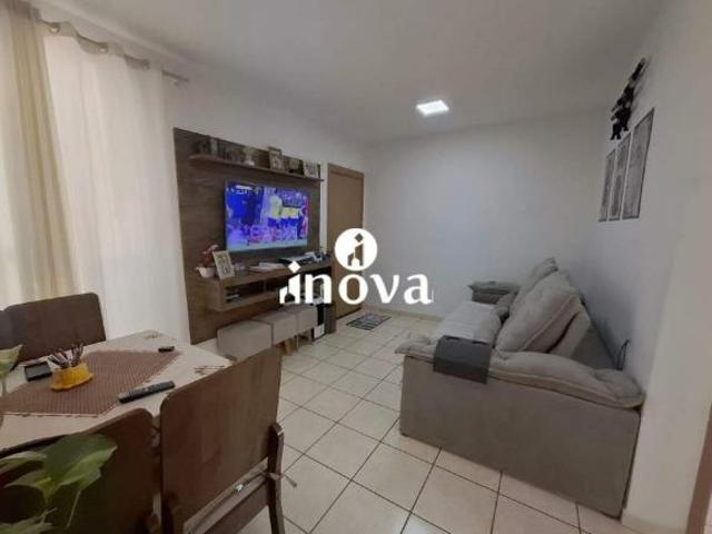 Apartamento à venda, bairro Palmeiras