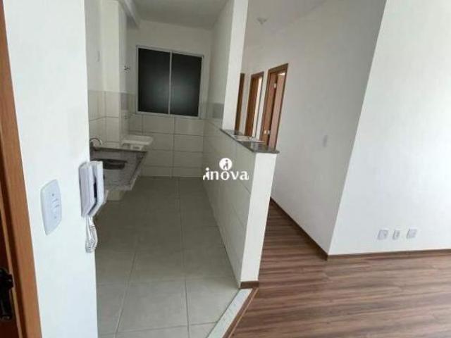 Apartamento à venda, bairro Paraíso