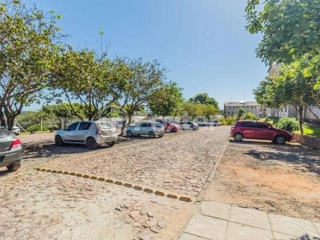 Apartamento à venda Beco Pedro Rodrigues Bittencourt, Vila Nova Porto Alegre