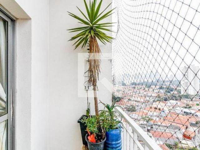 Apartamento à Venda Chácara Santo Antonio, 3 Quartos, 80 m2