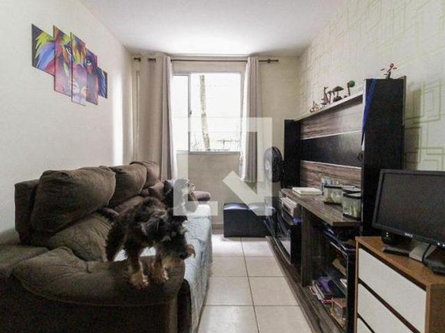 Apartamento à Venda Cidade Nova Sao Miguel, 1 Quarto, 45 m² São Paulo