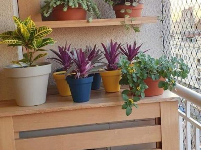 Apartamento a venda com três dormitórios sendo duas suítes