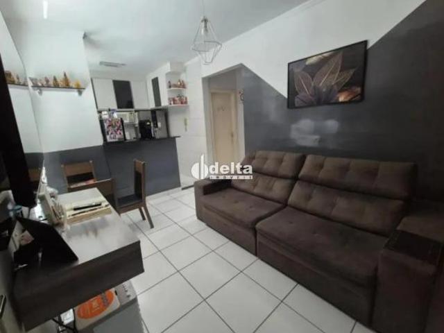 Apartamento a venda com dois quartos no bairro Chacaras Tubalina