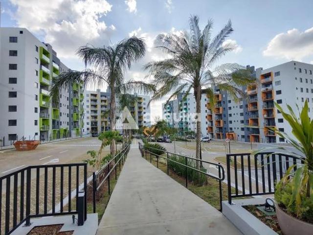 Apartamento à venda, Contorno, Ponta Grossa, PR