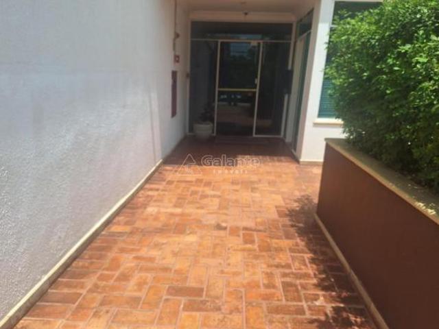 apartamento á venda e para aluguel em Cambuí
