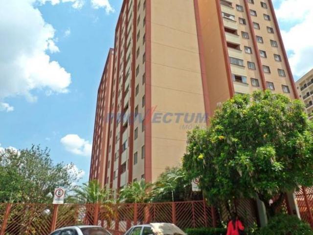 apartamento á venda e para aluguel em Ponte Preta