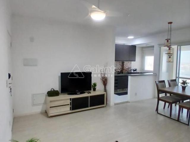apartamento á venda e para aluguel em Ponte Preta