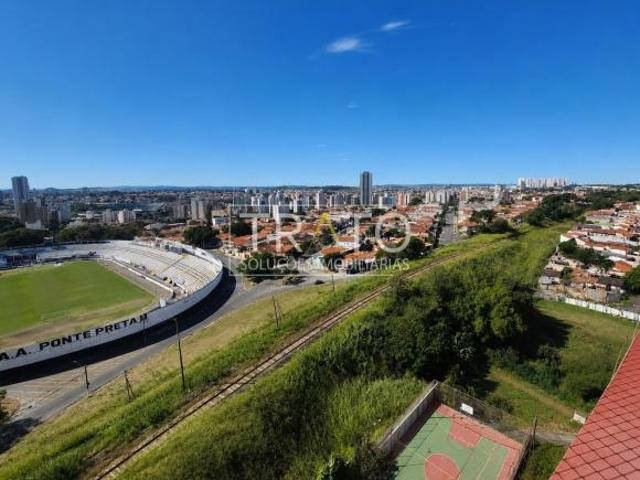 apartamento á venda e para aluguel em Ponte Preta