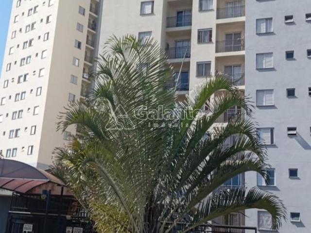 apartamento á venda e para aluguel em Vila Mimosa