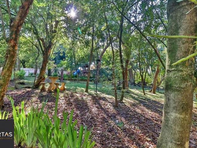Apartamento à venda em Morro Santana