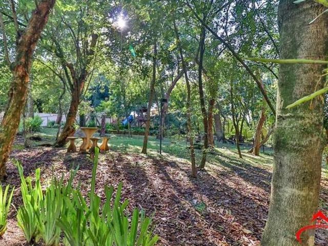 Apartamento à venda em Morro Santana