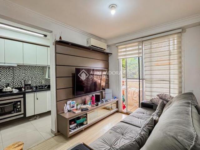 Apartamento à venda em Morro Santana