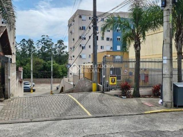 Apartamento à venda em Operário