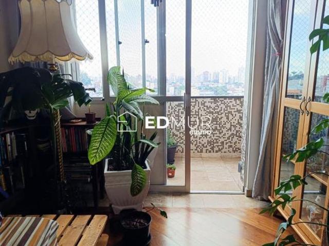 Apartamento à venda em Osvaldo Cruz