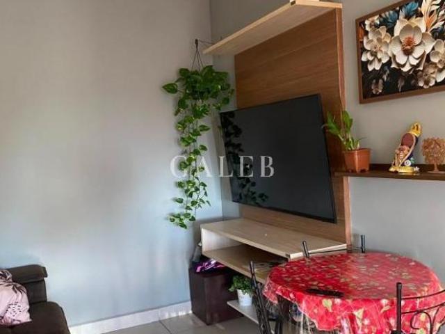 Apartamento à venda em Atibaia SP, no bairro Caetetura: 2 quartos, 1 sala, 1 banheiro, 11 vagas de g