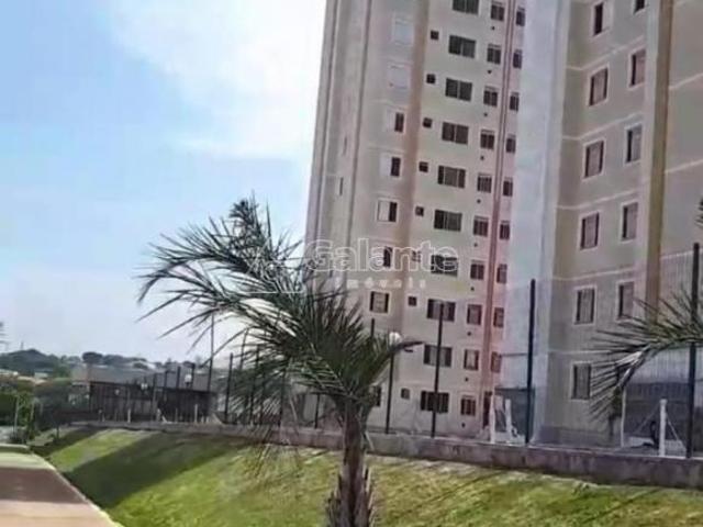 apartamento à venda em Fundação da Casa Popular