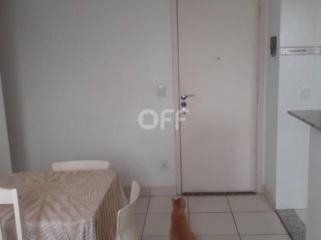 apartamento à venda em Jardim Nova Europa