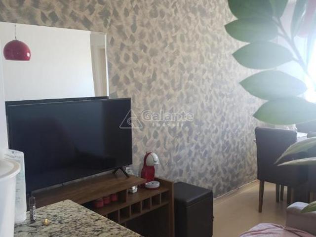 apartamento à venda em Jardim Nova Europa