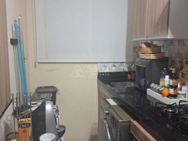 apartamento à venda em Jardim Nova Europa