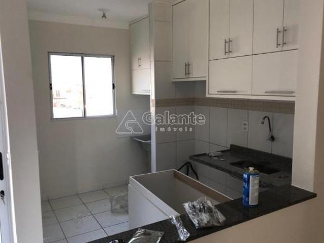 apartamento à venda em Jardim Novo Cambuí