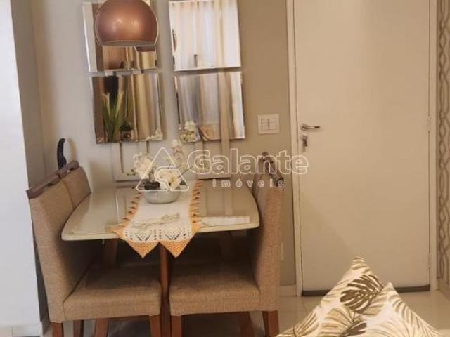 apartamento à venda em Jardim Samambaia