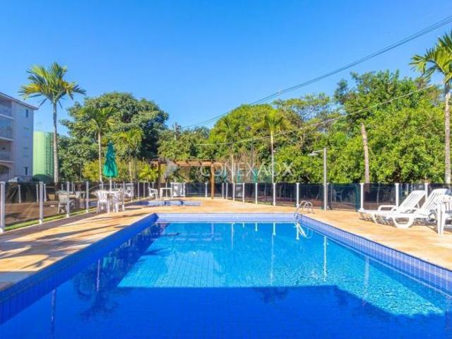 apartamento à venda em Jardim Santa Genebra