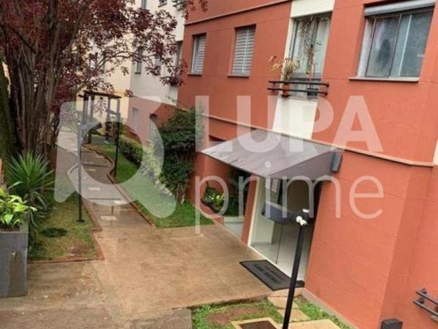 Apartamento à venda em Paraisópolis