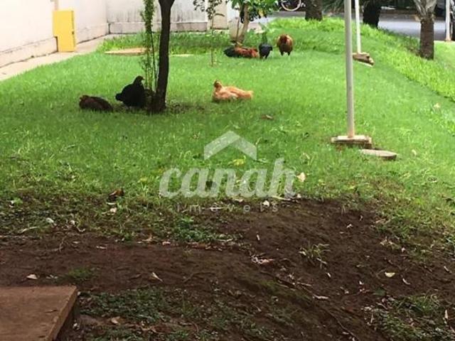 Apartamento à Venda em Parque São Sebastião, Ribeirão Preto – 2 Dorms