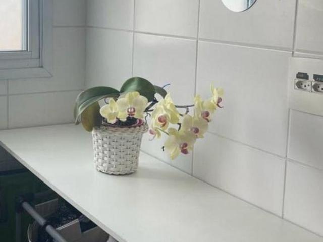Apartamento à Venda em Ponte Grande, Guarulhos SP