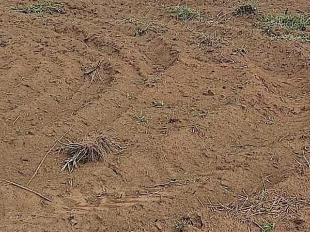 Apartamento à venda em Resplendor, no bairro Zona Rural
