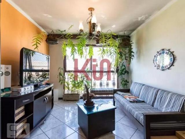 Apartamento à Venda em São Paulo SP, na Vila Campestre: 3 Quartos, 2 Banheiros