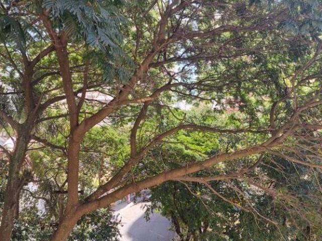 Apartamento à venda em São Paulo SP, Parque Imperial: 3 quartos, 2 banheiros, 1 vaga, 76m² de área